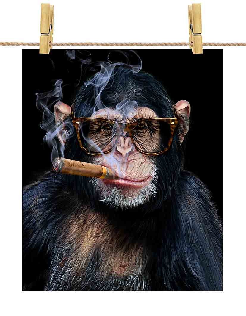 Funny Monkeys Smoking Weed