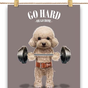 Cream Poodle Dog Muscle Workout With Barbell Weightlifting at Gym ...