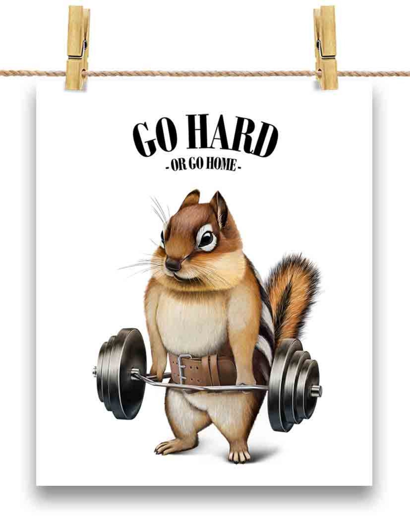 Squirrel Chipmunk Muscle Training With Barbell Shrug Bar Fitness Gym ...