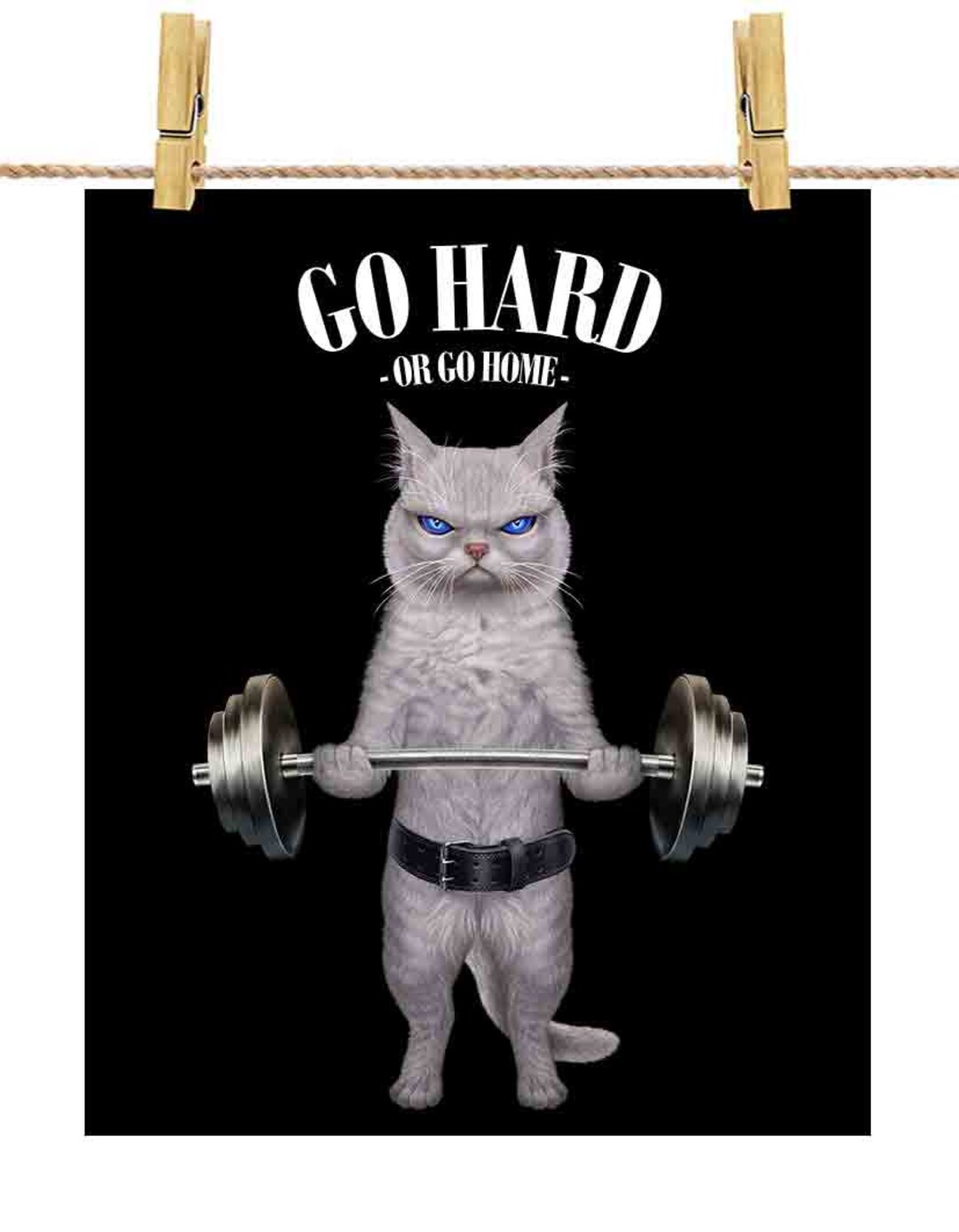 Cat Weightlifting in Fitness Gym - Poster Print, Wall Art, Home Decor ...