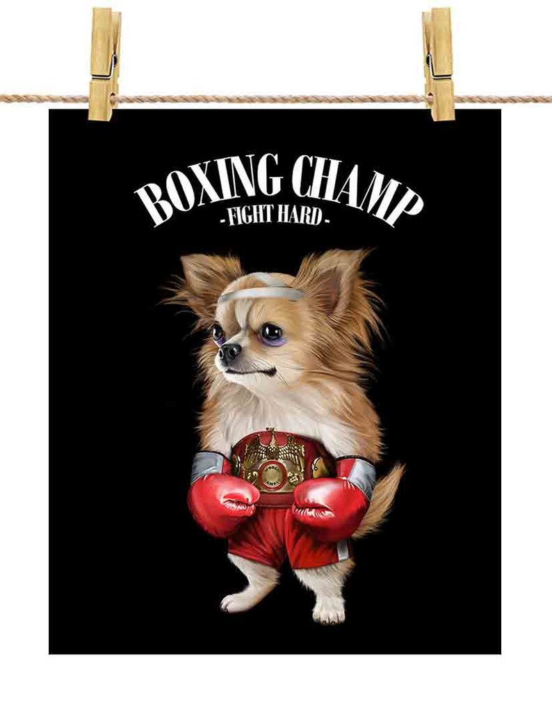 Chihuahua Dog as Boxing Champion Boxer Fighter MMA - Poster Print, Wall ...