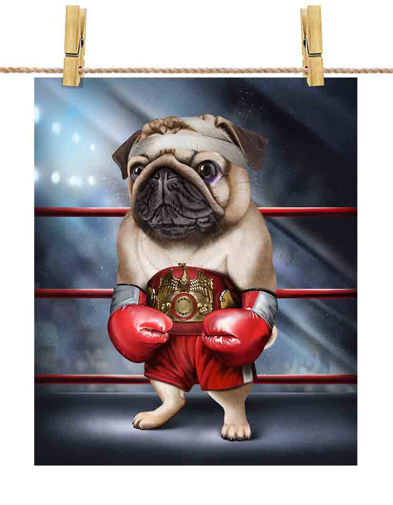 Pug Dog as Boxing Champion Boxer Fighter MMA - Poster Print, Wall Art ...