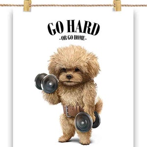 Toy Poodle Dog Muscle Training With Dumbbell in Fitness Gym - Poster ...