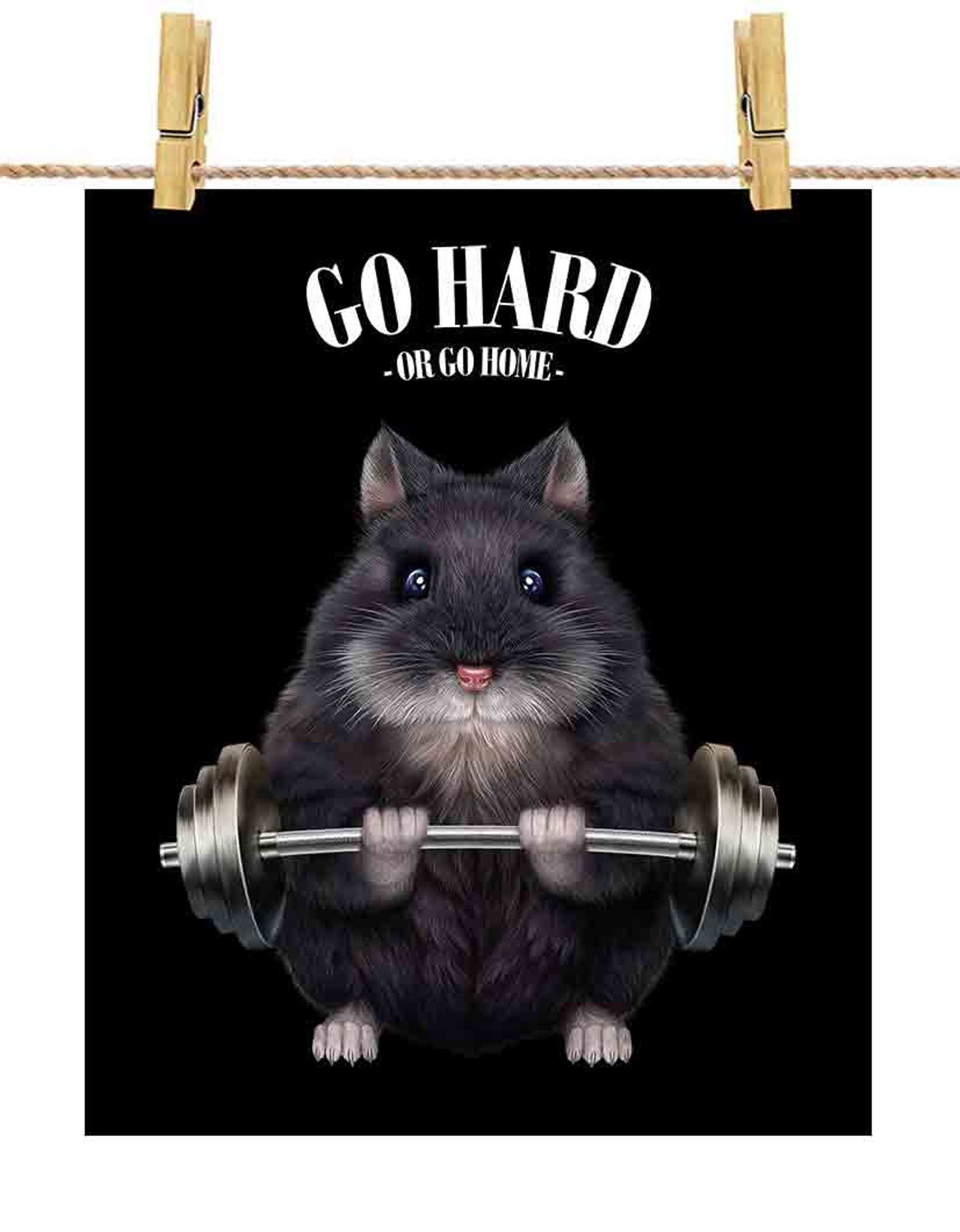 Dwarf Hamster Weightlifting in Fitness Gym Exercise Workout ...