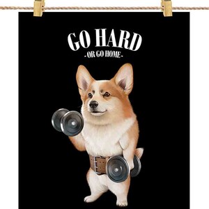 Pembroke Welsh Corgi Dog Muscle Training Weightlifting With Dumbbell ...