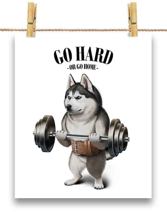 Siberian Husky Memes