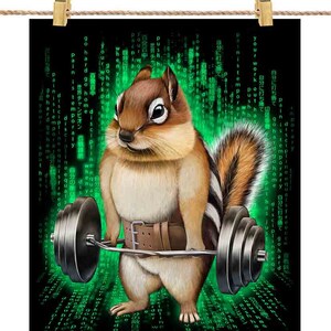 Squirrel Chipmunk Muscle Training With Barbell Shrug Bar Fitness Gym ...