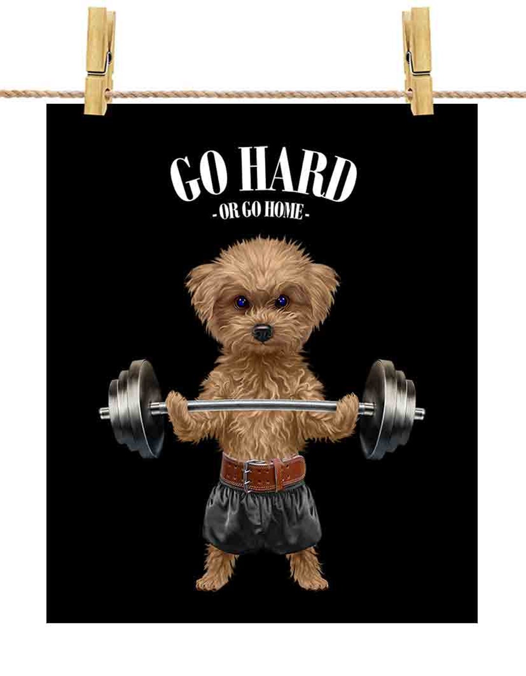 Toy Poodle Dog Weightlifting and Fitness in Gym - Poster Print, Wall ...