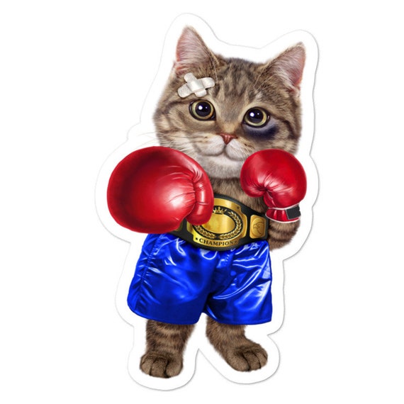 Tabby Cat as Boxer Boxing Champion Bubble-free Stickers | Etsy