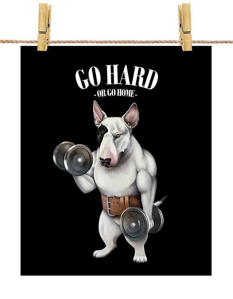 Bull Terrier Dog Muscle Training Weightlifting With Dumbbell - Poster ...