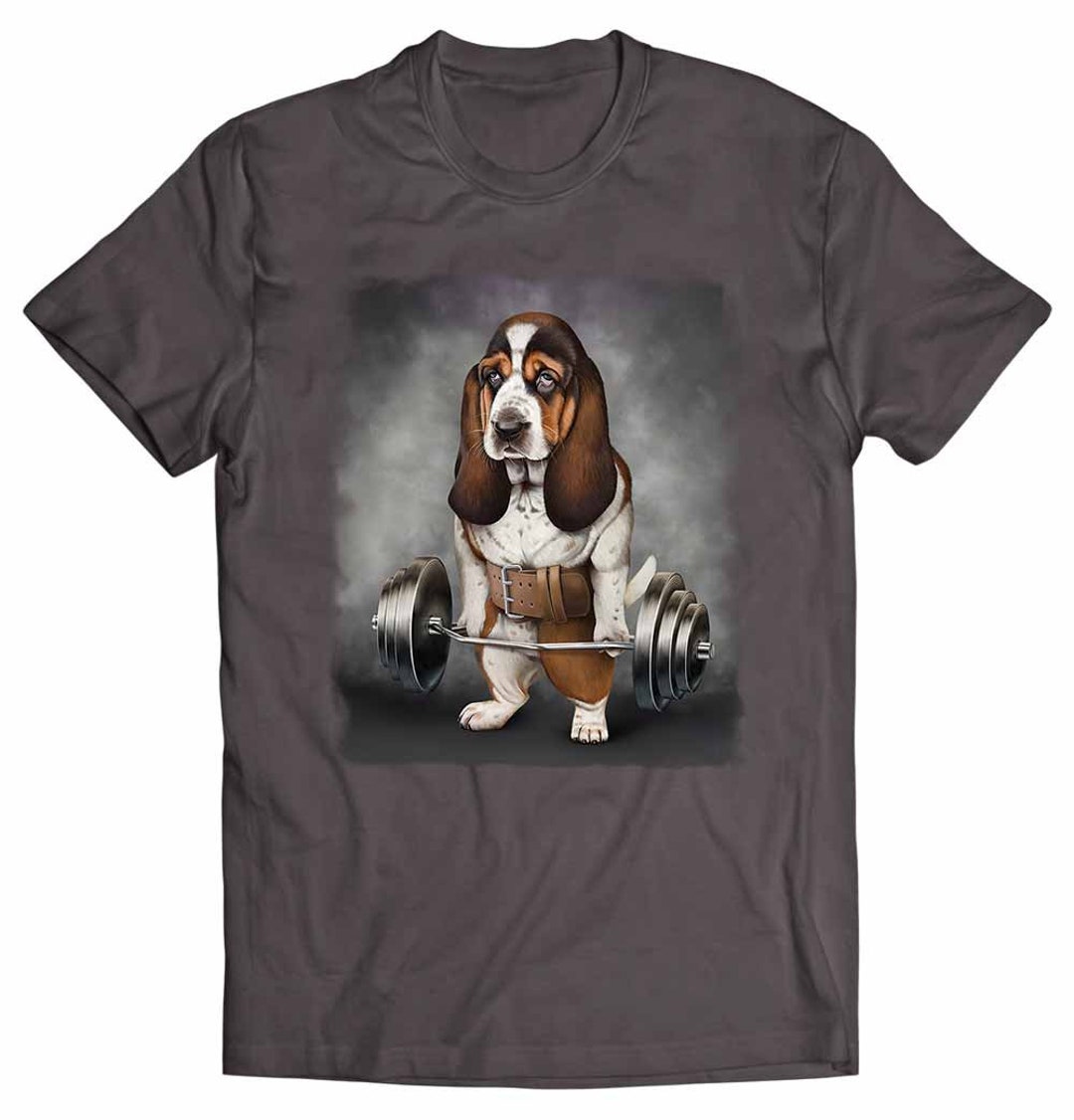 Basset Hound Dog Muscle Training With Barbell Shrug Bar Fitness Gym ...
