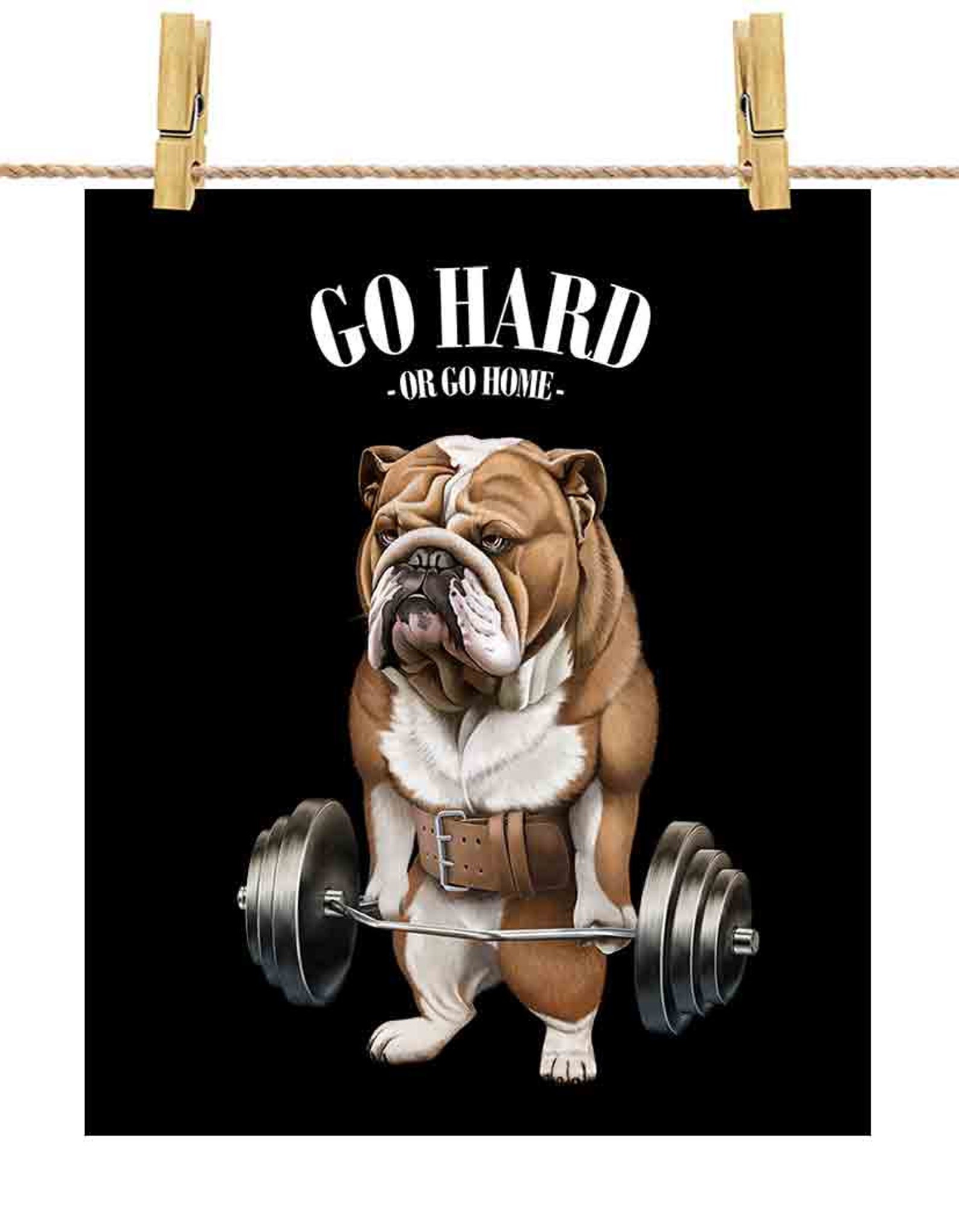English Bulldog Muscle Training With Barbell Shrug Bar Fitness Gym ...