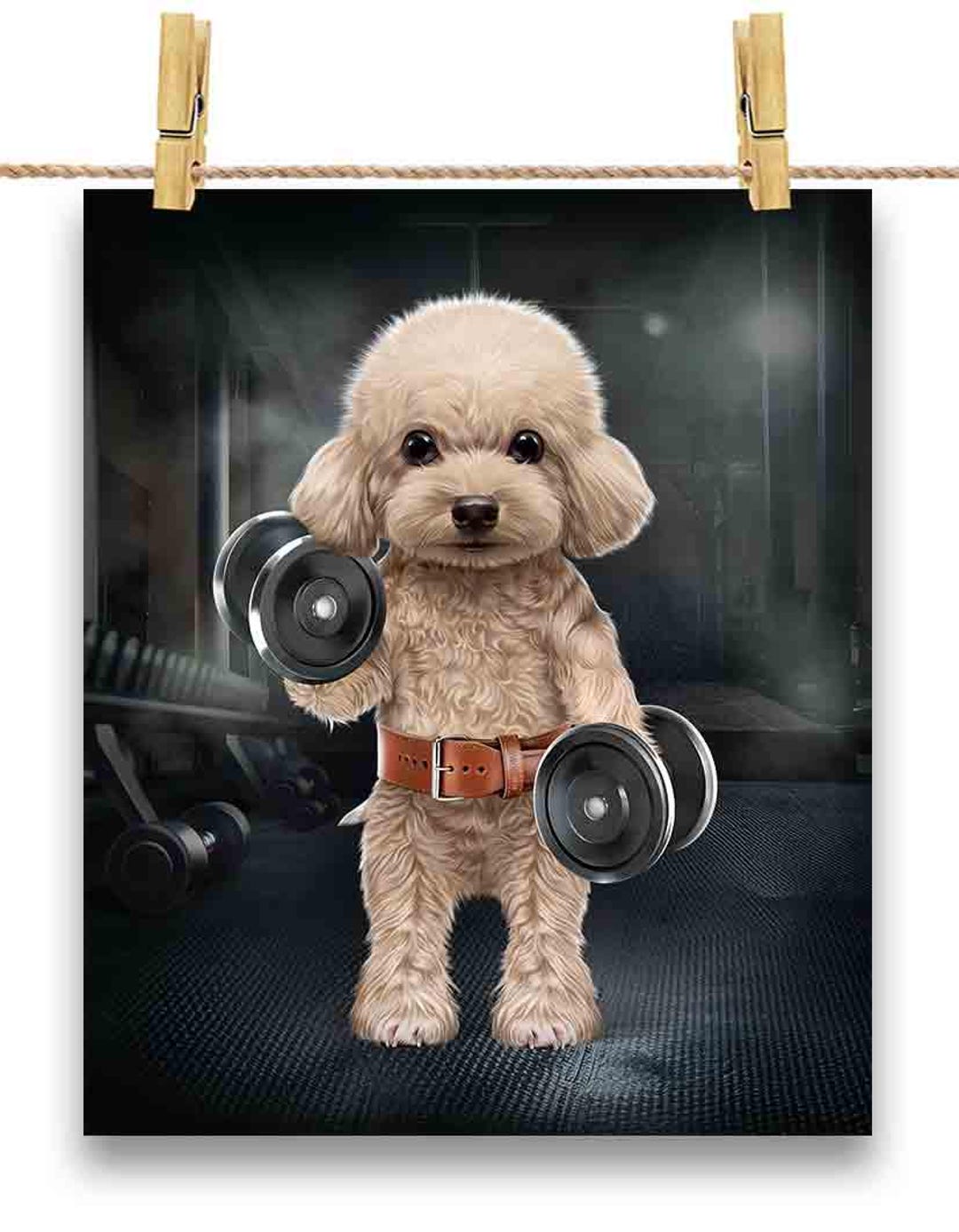 Cream Poodle Dog Muscle Workout With Dumbbells at Gym - Poster Print ...