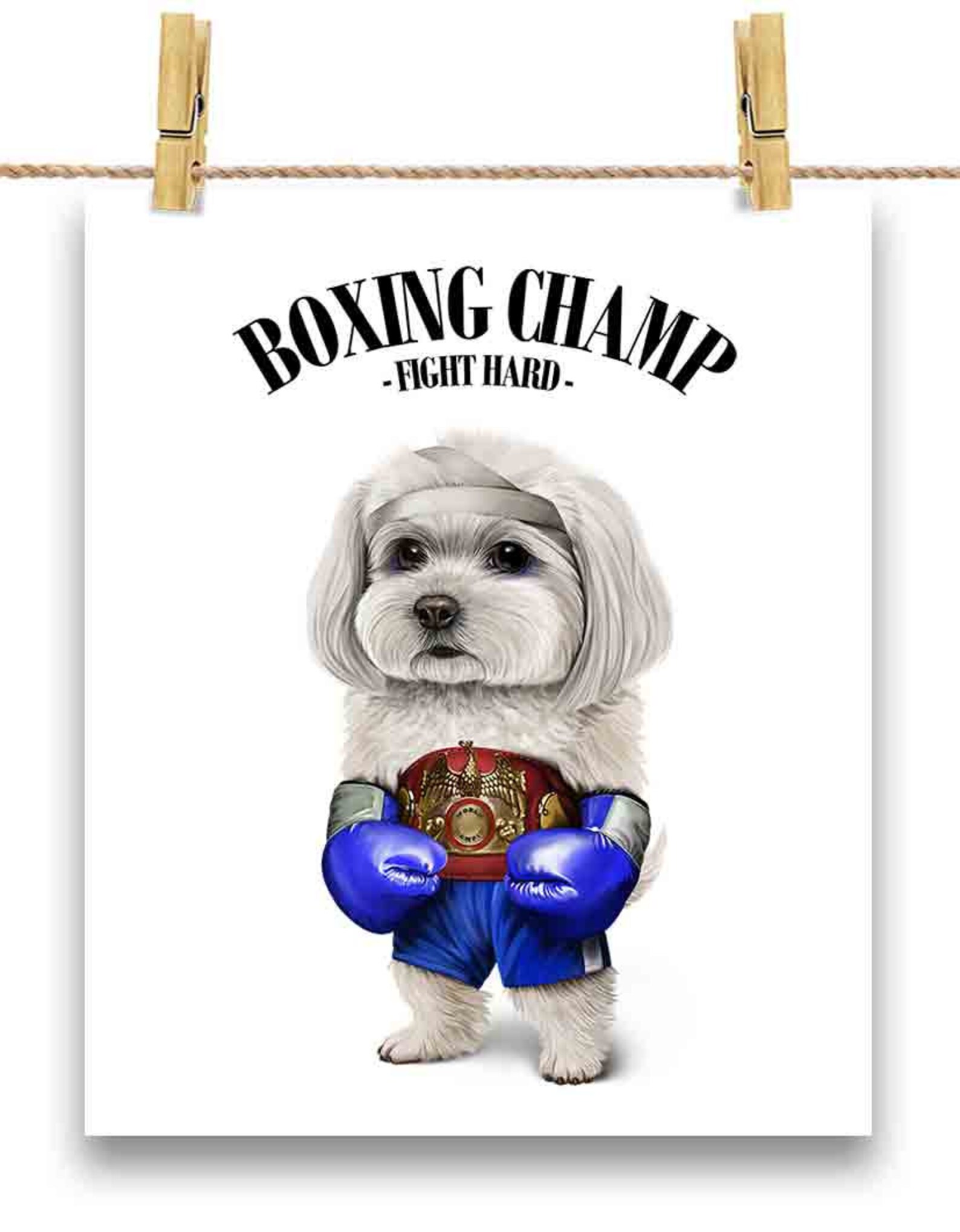 Boxing Champion Maltese Dog Fighter - Poster Print, Wall Art, Home ...