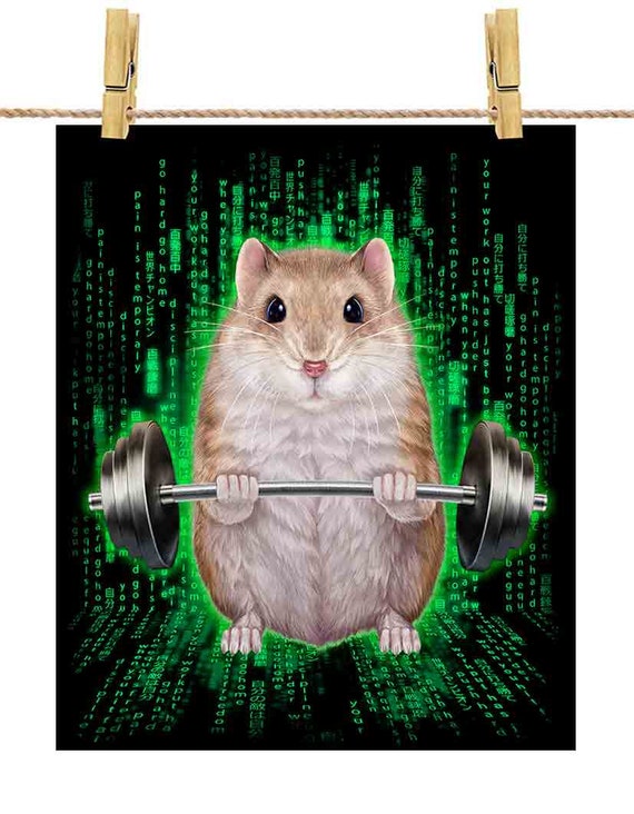 Dwarf Hamster Weightlifting in Cyber Fitness Gym Custom | Etsy