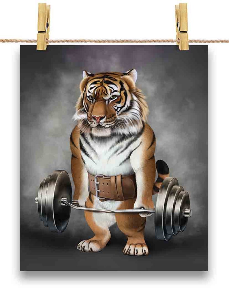 Tiger Lift Barbell Shrug Bar Exercise Fitness Gym - Poster Print, Wall ...