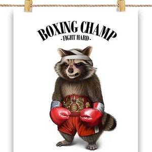 Raccoon as Boxing Champion Boxer Fighter MMA - Poster Print, Wall Art ...