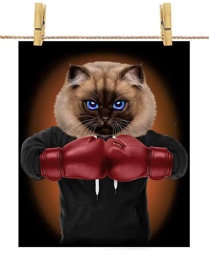 Fluffy Cat as Boxing Champion in Boxer Gloves Custom Poster | Etsy