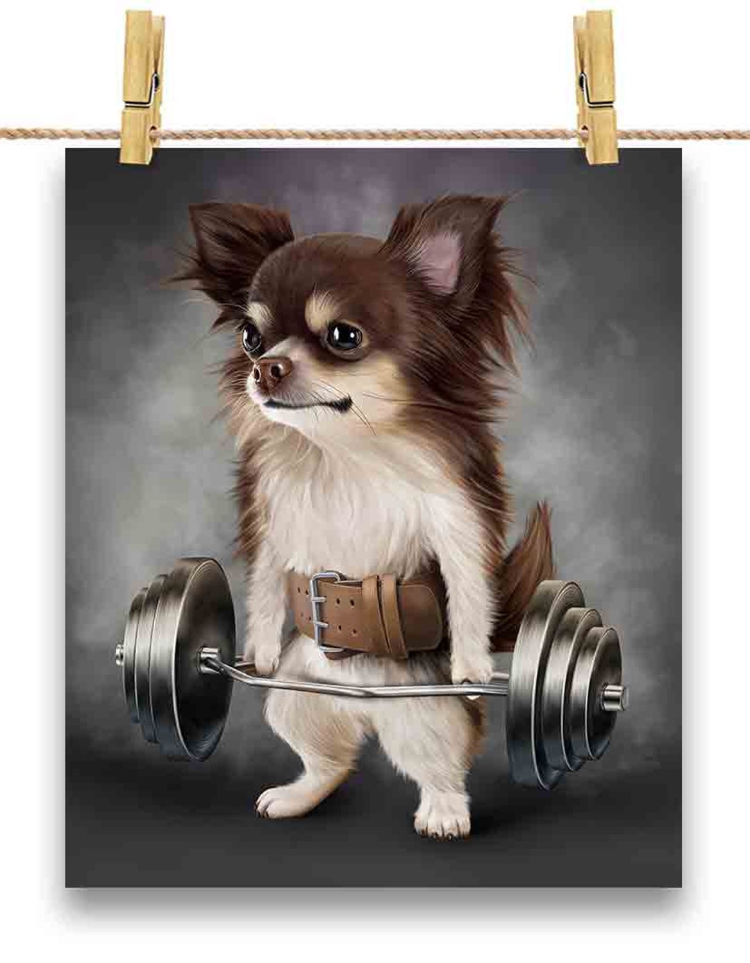 Chocolate Chihuahua Dog Muscle Training With Barbell Shrug Bar Fitness ...