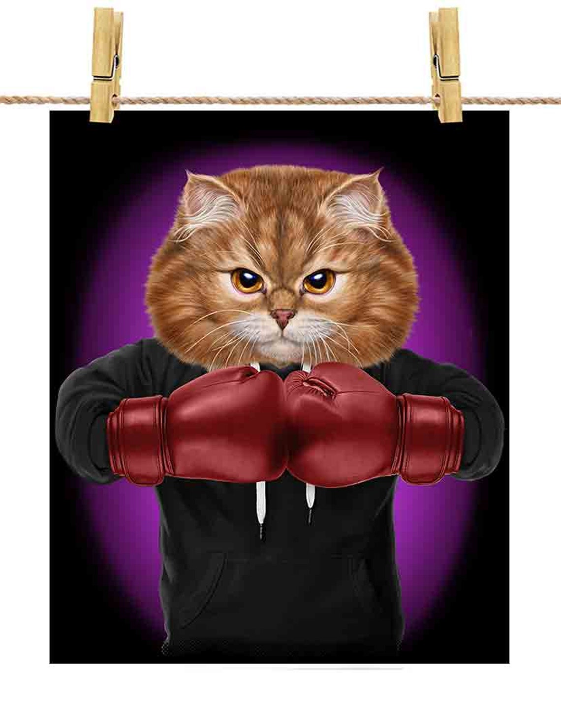 Fluffy Cat as Boxing Champion in Boxer Gloves Custom Poster | Etsy