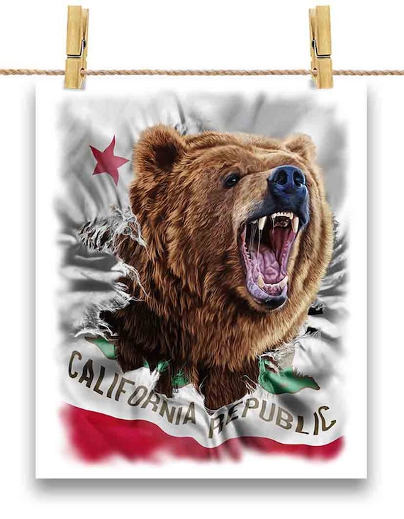 Grizzly Bear Flag