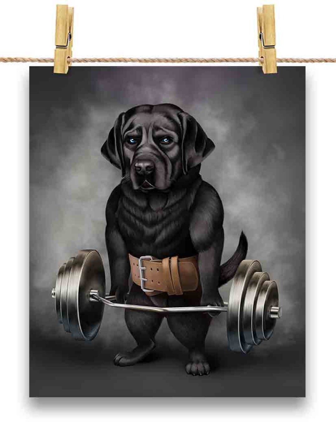 Black Labrador Retriever Dog Muscle Training With Barbell Shrug Bar ...