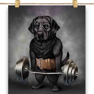 Black Labrador Retriever Dog Muscle Training With Barbell Shrug Bar ...