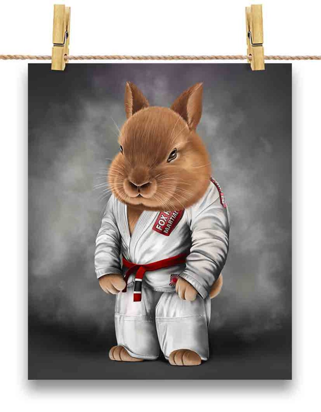 Rabbit Martial Art Champion in White Judogi Judo Karate - Etsy