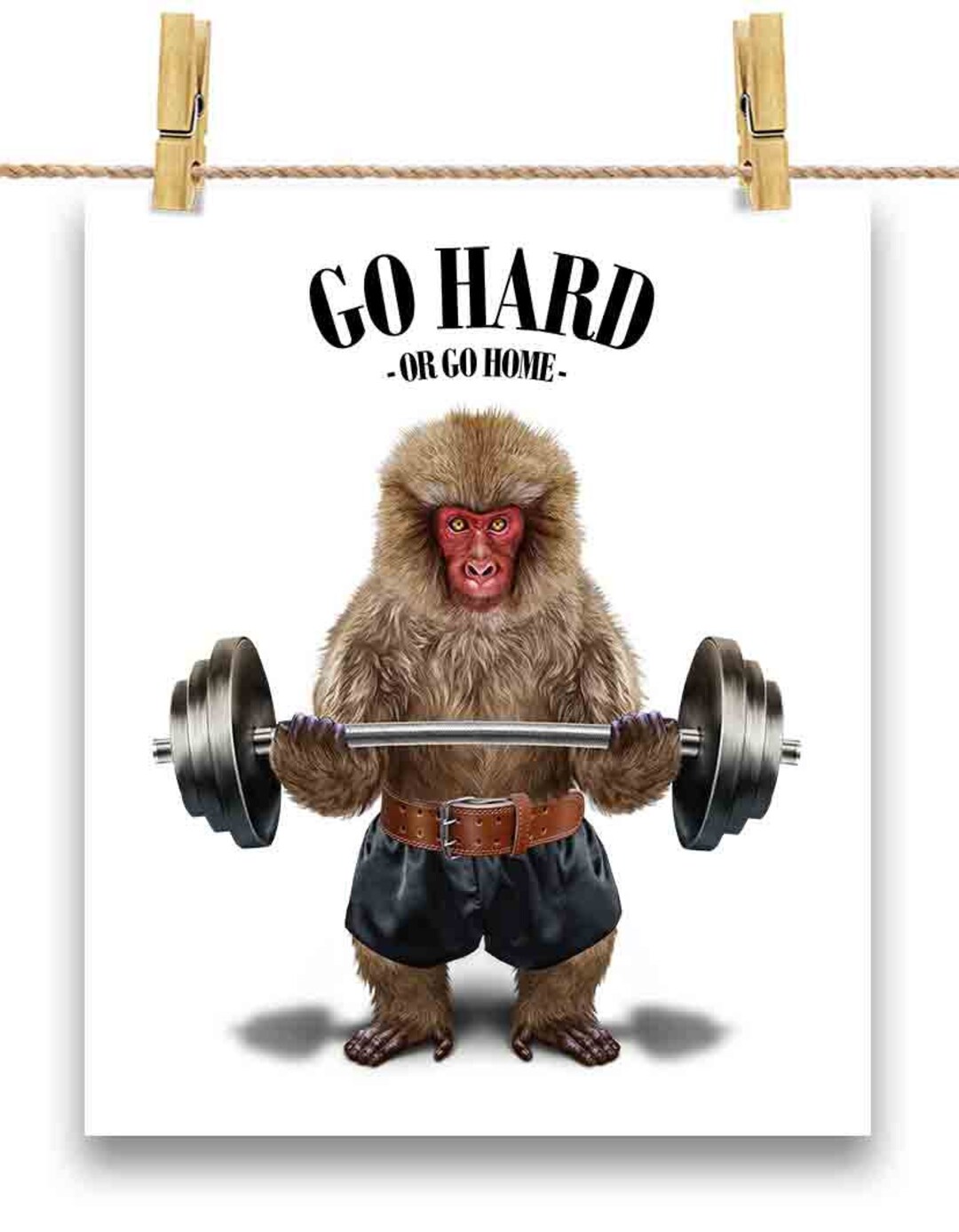 Japanese Macaque Monkey Weightlifting in Fitness Gym Exercise - Etsy