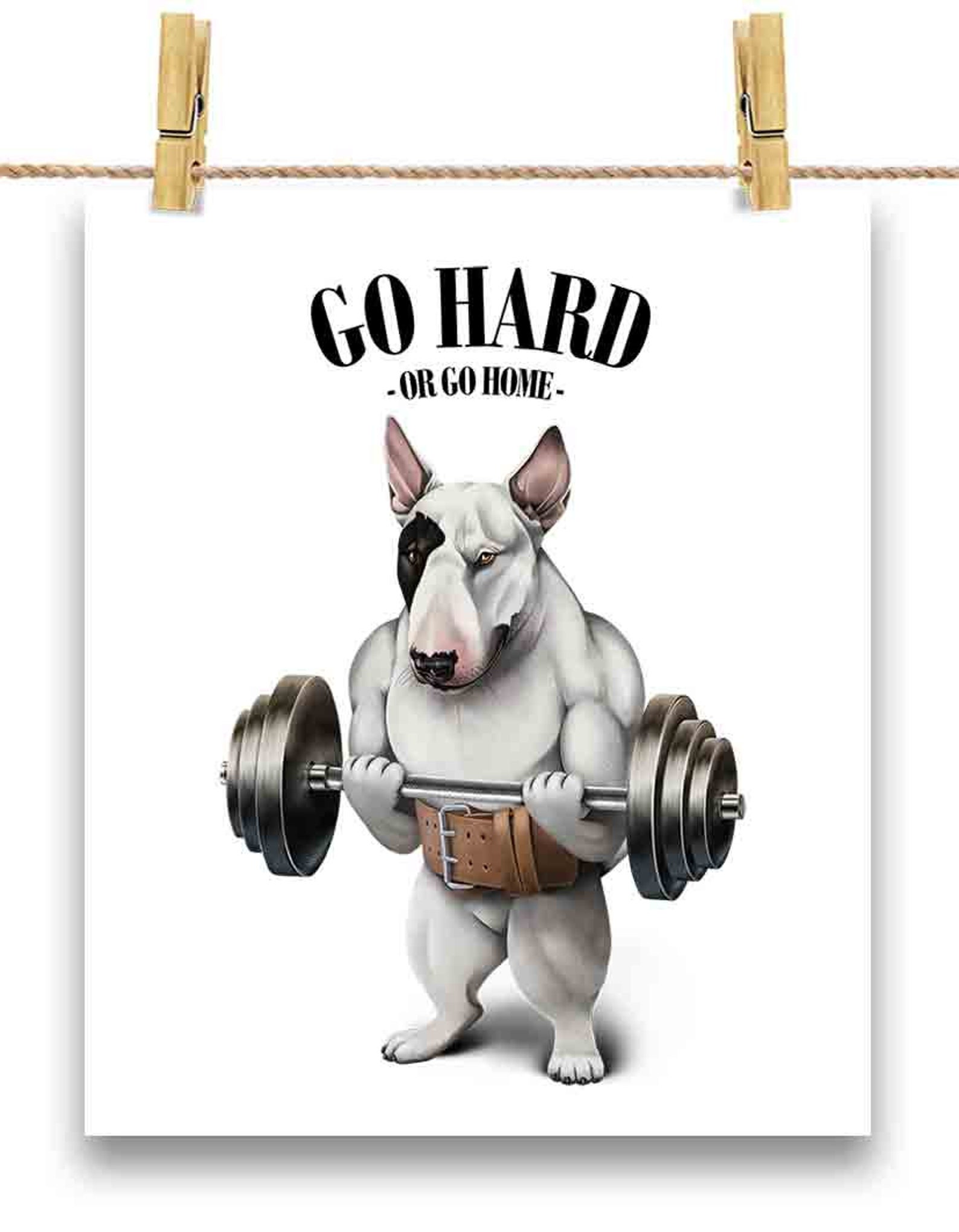 Bull Terrier Dog Muscle Training Weightlifting - Poster Print, Wall Art ...