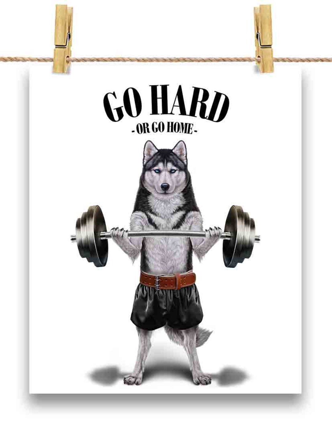 Siberian Husky Dog Weightlifting in Fitness Gym - Poster Print, Wall ...