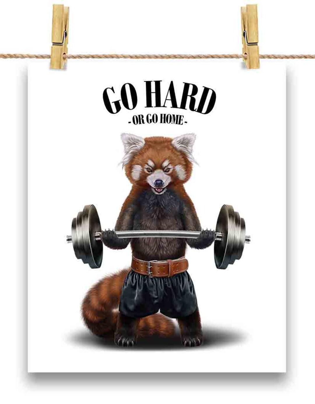 Red Panda Weightlifting in Fitness Gym Exercise Workout Inspirational ...