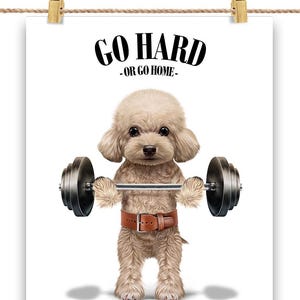 Cream Poodle Dog Muscle Workout With Barbell Weightlifting at Gym ...