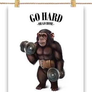 Chimpanzee Muscle Training Weightlifting With Dumbbell - Poster Print ...