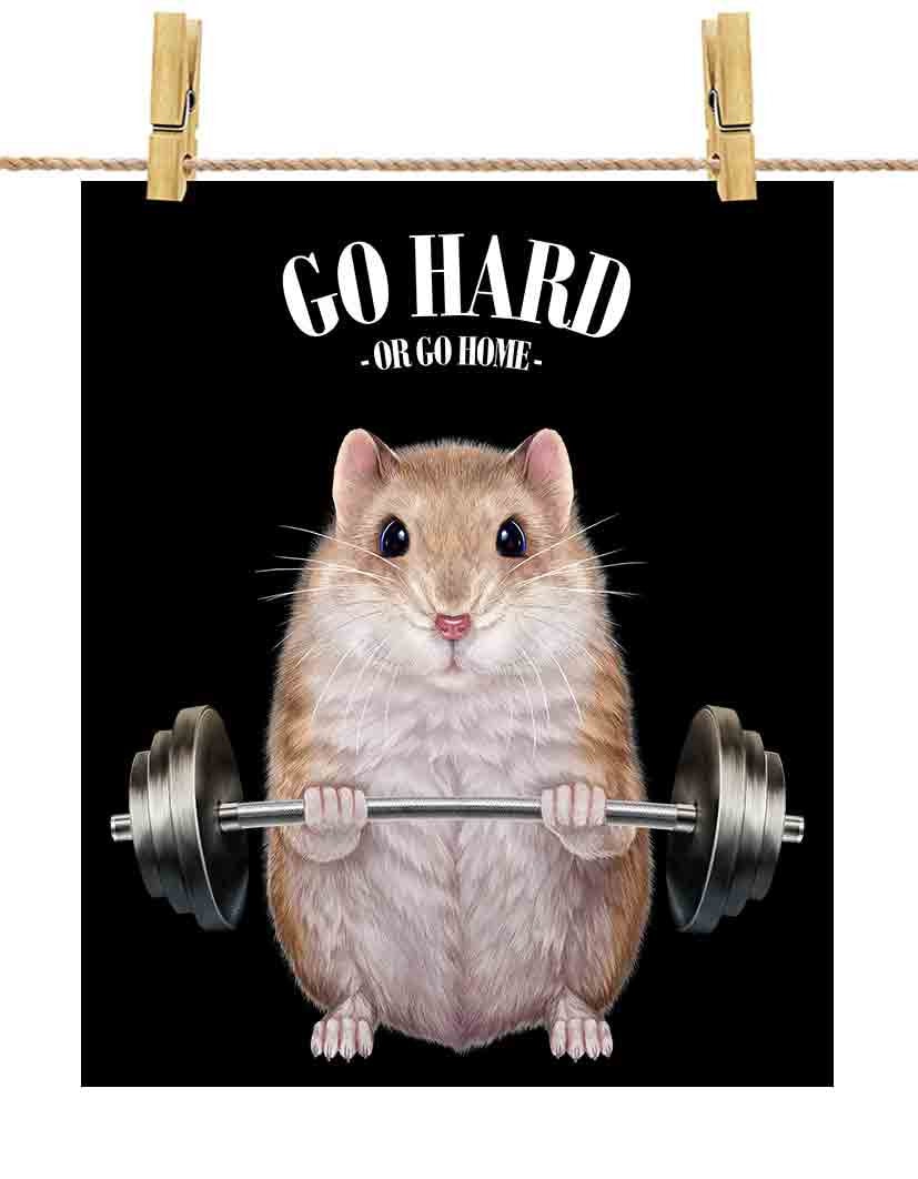 Dwarf Hamster Weightlifting in Fitness Gym - Poster Print, Wall Art ...