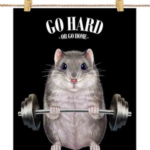 Dwarf Hamster Weightlifting in Fitness Gym - Poster Print, Wall Art ...