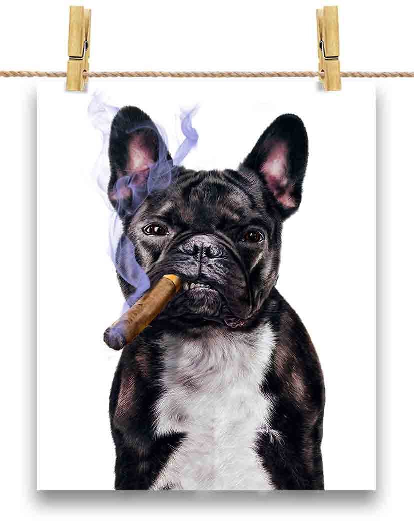 Bulldog Smoking Cigar