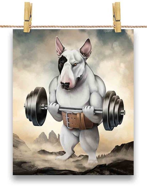 Bull Terrier Dog Muscle Training Weightlifting Custom Poster - Etsy