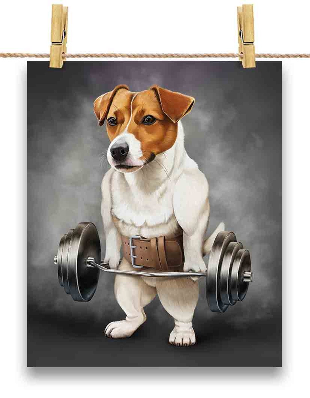 Jack Russell Terrier Dog Muscle Training With Barbell Shrug Bar Fitness ...