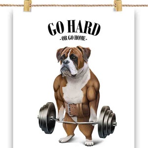 Boxer Dog Muscle Training With Barbell Shrug Bar Fitness Gym - Poster ...
