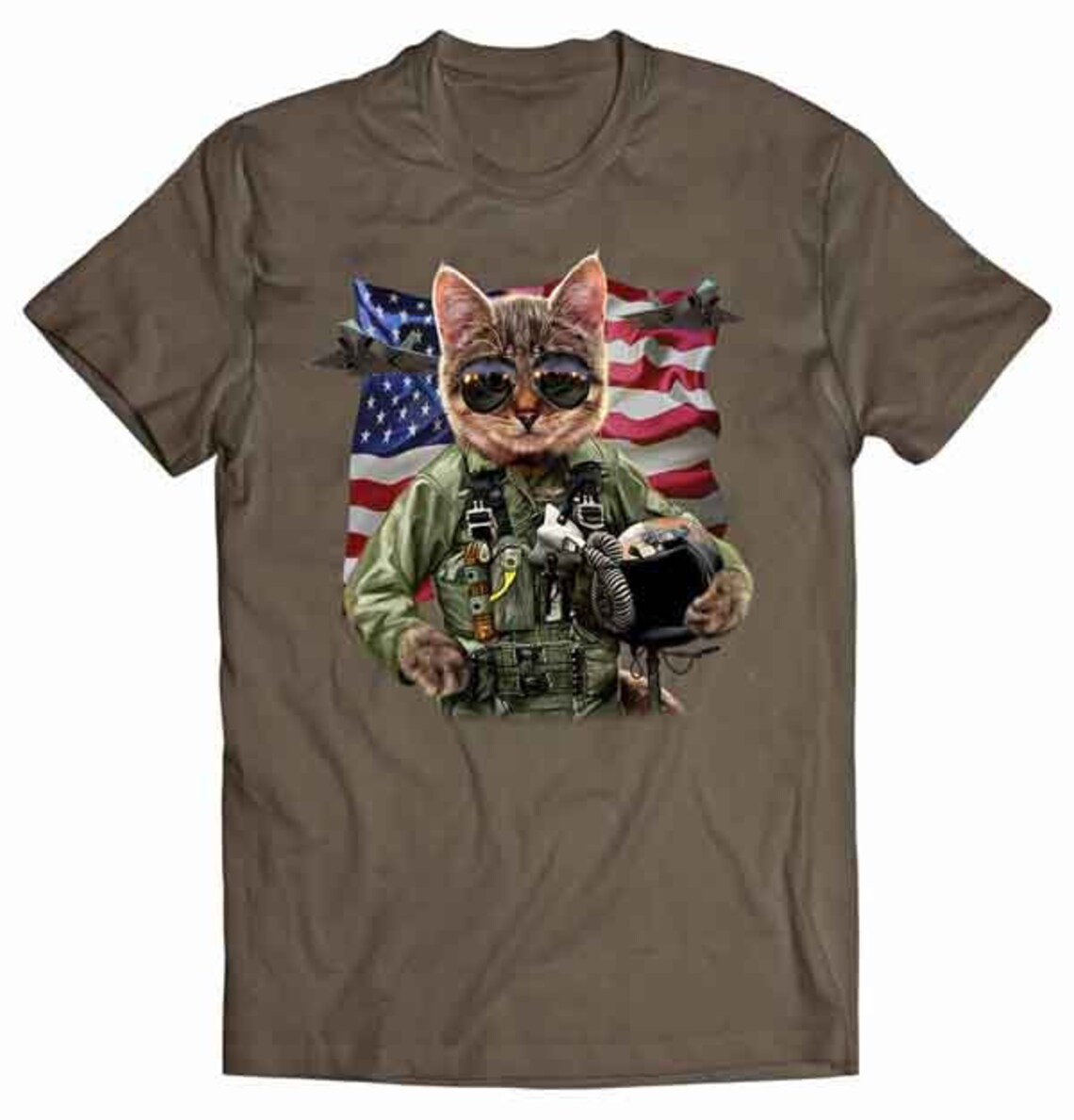 Fighter Pilot Cat in US Air Force with Flag of USA Flaps | Etsy