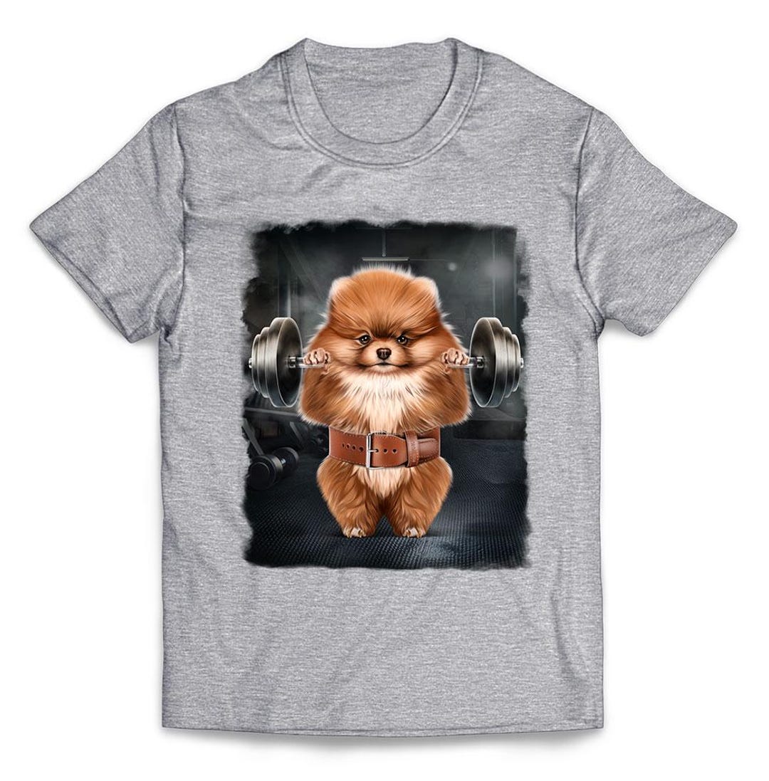 Pomeranian Dog Behind-the-neck Weightlifting Muscle Workout at Gym ...