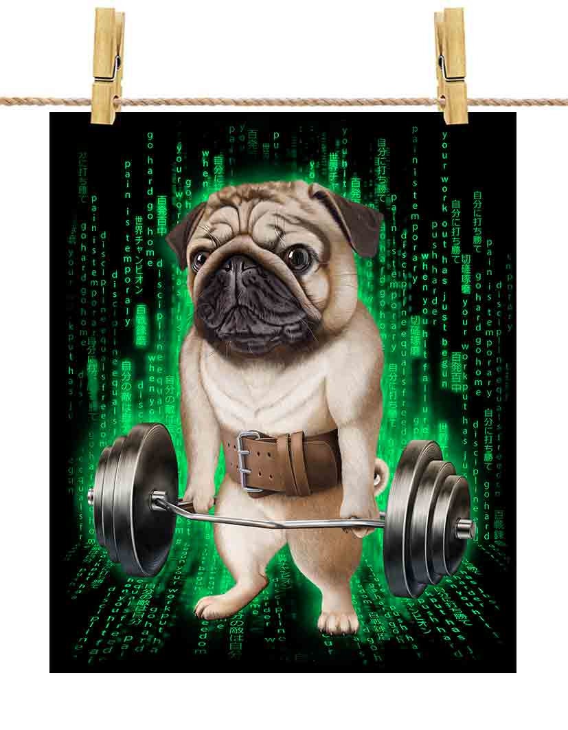 Pug Dog Lift Barbell Shrug Bar Exercise Fitness Gym Workout - Etsy