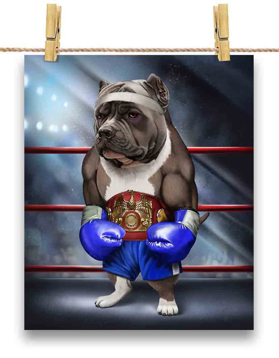 Boxing Champion Blue Pit Bull Dog Fighter - Poster Print, Wall Art ...