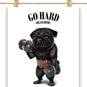 Black Pug Dog Muscle Training Weightlifting With Dumbbell - Poster ...