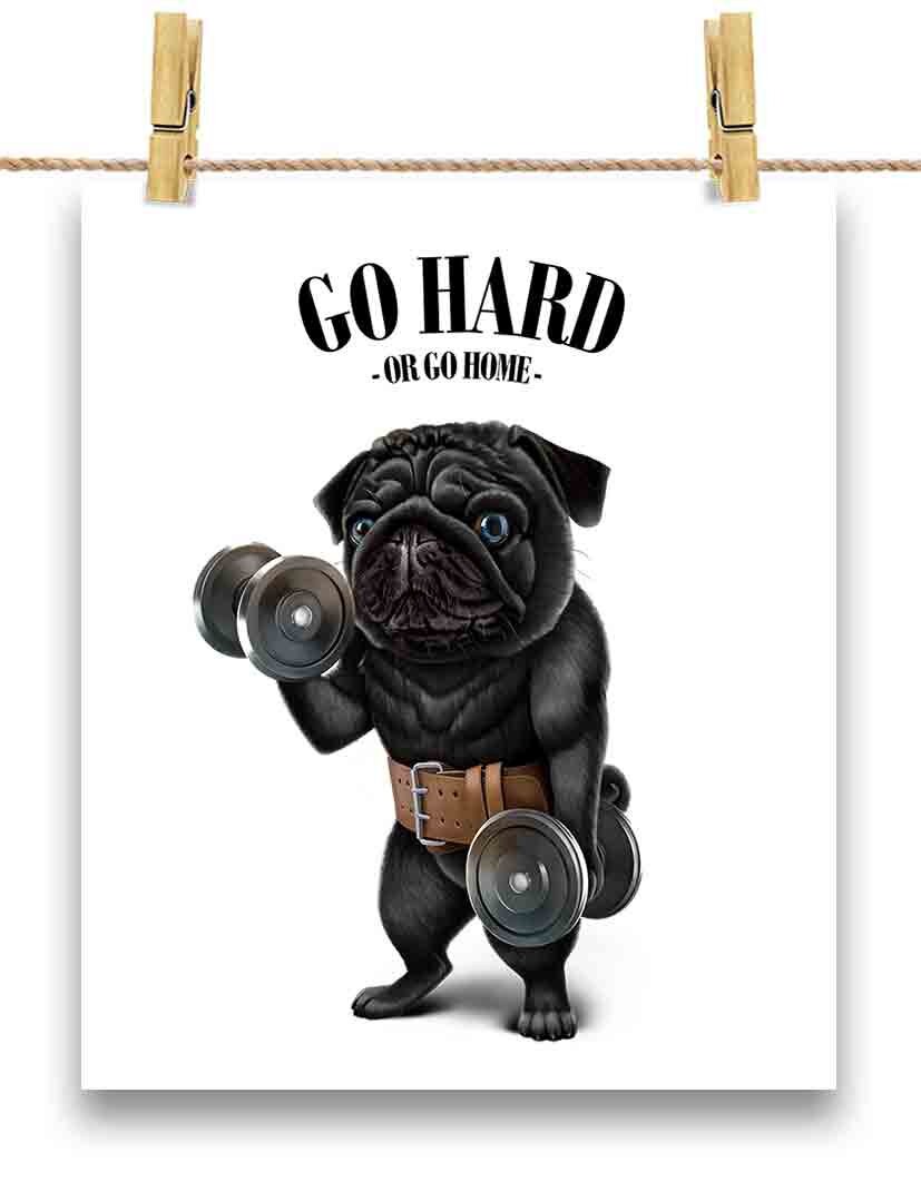 Black Pug Dog Muscle Training Weightlifting With Dumbbell - Etsy