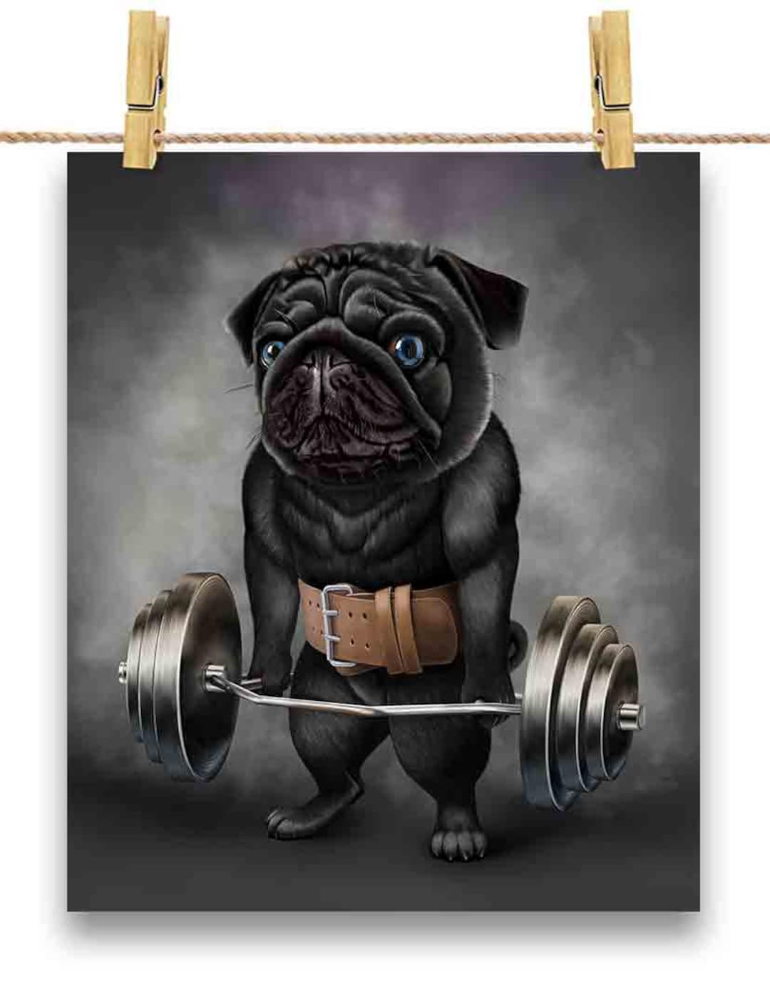 Black Pug Dog Muscle Training With Barbell Shrug Bar Fitness Gym ...