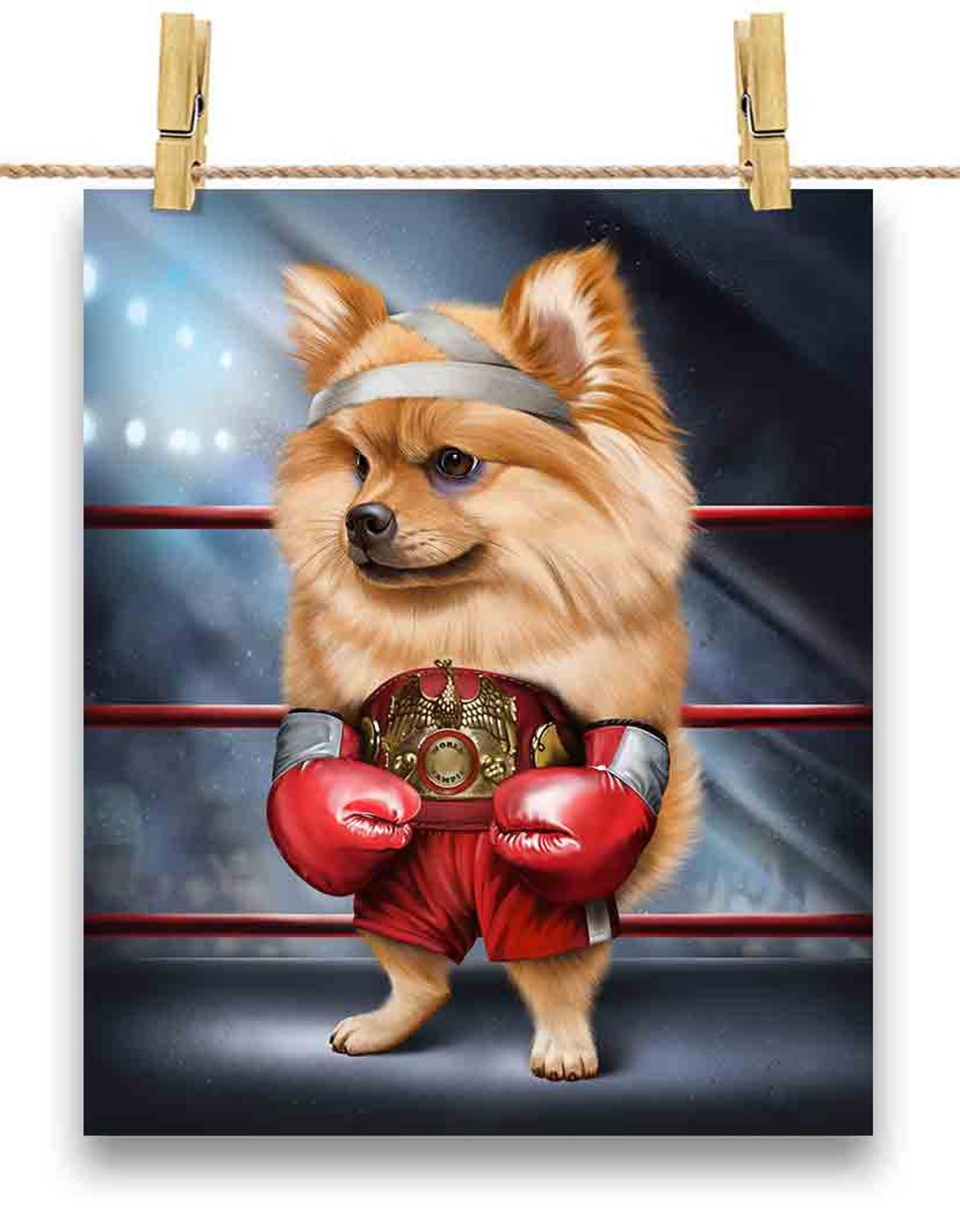 Boxing Champion Orange Pomeranian Dog Fighter Poster Print, Wall Art ...