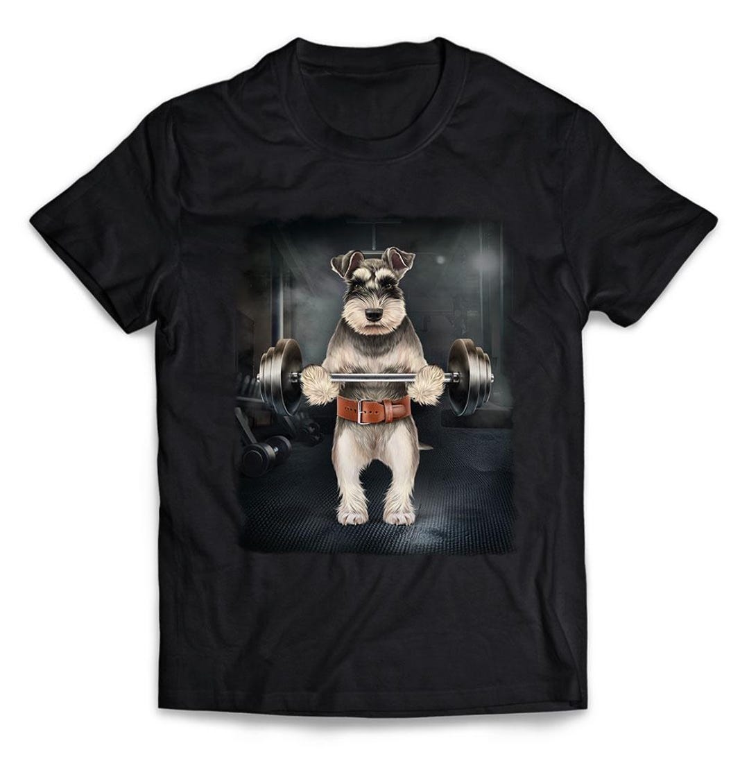 Schnauzer Dog Muscle Workout With Barbell Weightlifting at Gym Short ...