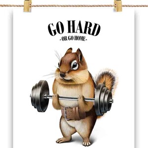 Squirrel Chipmunk Muscle Training Weightlifting - Poster Print, Wall ...